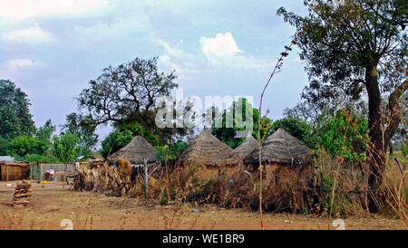 Thatched roof huts in a village in Timor Leste (East Timor Stock Photo ...