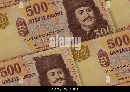 Hungary currency background. HUF pattern. Hungary forints banknotes ...