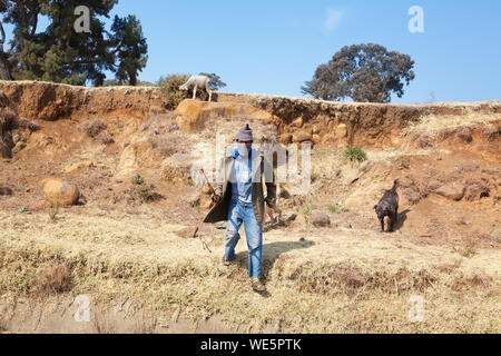 Basotho sheep herder in the mountain village of Semonkong in Lesotho ...