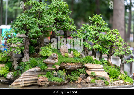 Bonsai and Penjing with miniature in a tray like to say in human life ...