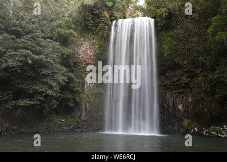 Waterfall circuit - Waterfalls Millaa Milaa Falls,,Atherton Tablelands ...