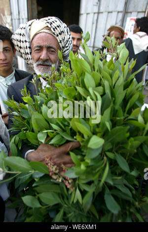 Yemeni man chewing qat Stock Photo - Alamy