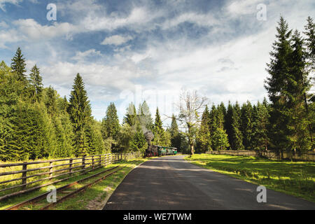 Mocanita, the steam train from Maramures, Romania Stock Photo - Alamy