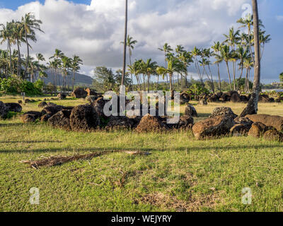 Ancient Hawaiian temple, or Heiau, located on the eastern shore of ...