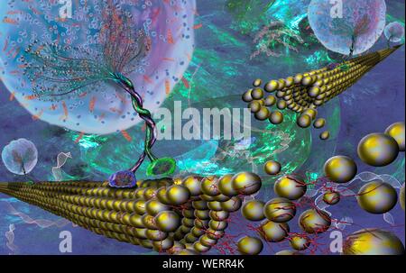 Intracellular transport, illustration Stock Photo - Alamy