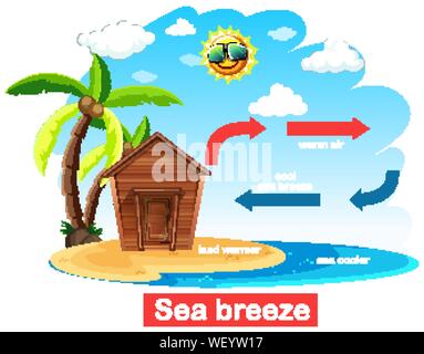 Diagram showing sea and land breeze illustration Stock Vector Image ...