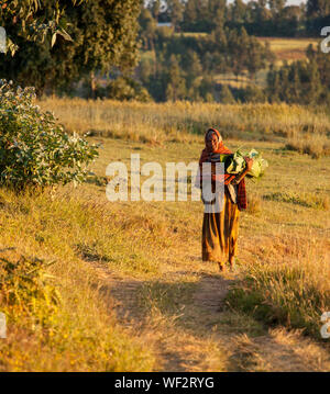 Woman farmer banana harvest field smile hat rural tropical fruit Stock ...