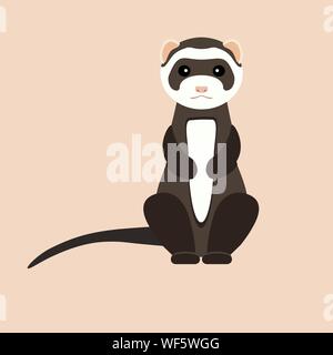 Cute fluffy ferret in the black witch hat flying on a broom isolated on ...