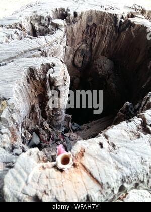Tree hollow close up Stock Photo - Alamy