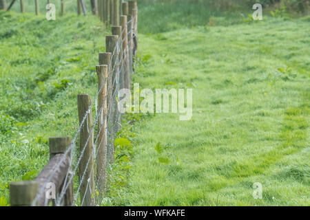 Farm fence line / cattle fencing off field. Mixes barbed wire & smooth ...