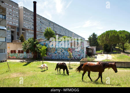 Social housing known as Corviale or Serpentone (snake) on the outskirts ...