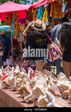 Conch shell in foreground on beach with palm tree blurred Punta cana ...