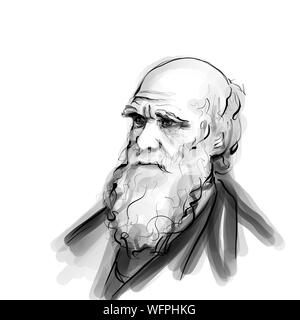 Charles Darwin portrait sketch illustration Stock Photo - Alamy