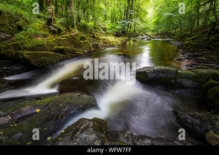 River Erme, North of Ivybridge, Devon Stock Photo - Alamy