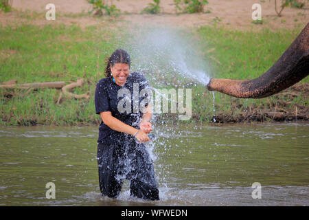 Elephant spraying water on woman Stock Photo: 38256766 - Alamy