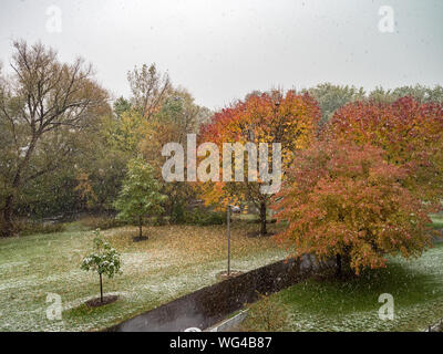 Kutzky Park with fall foliage, changing leaves, Rochester, Minnesota ...