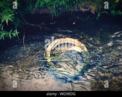 Old tire in the river Stock Photo - Alamy