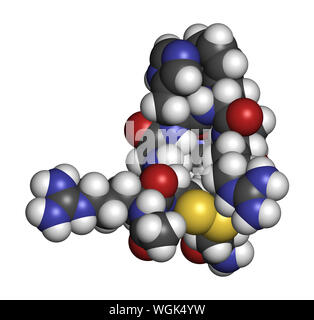 Setmelanotide drug molecule, illustration Stock Photo - Alamy