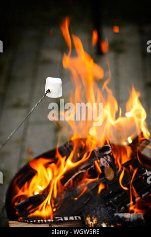 Toasting marshmallows on a log fire Stock Photo - Alamy