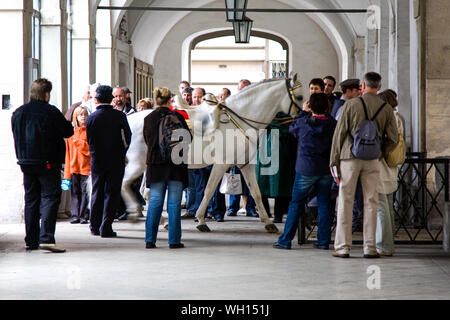 Horses being lead in for performance at the Spanish Riding School ...