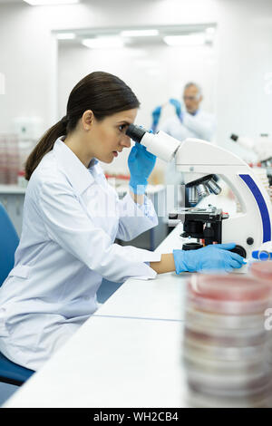 examining, microscope, laboratory assistant, blood test, exam ...