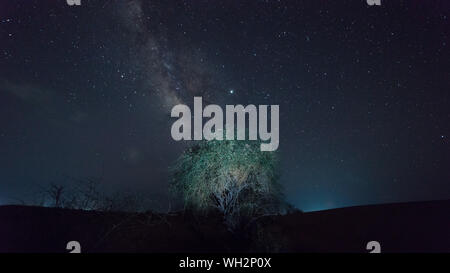 A picture of the milkyway galaxy in thar desert over tree Stock Photo ...