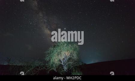A picture of the milkyway galaxy in thar desert over tree Stock Photo ...