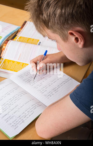 Teenager boy revising for GCSE exams student studying at home Stock ...