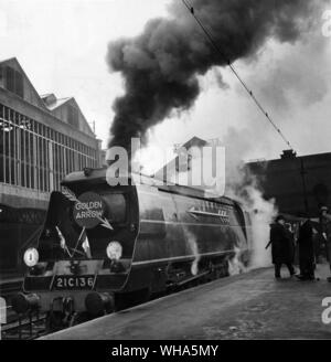 Golden Arrow steam train Stock Photo - Alamy