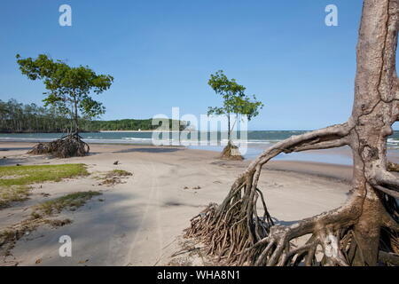 MARAJO ISLAND, BRAZIL Stock Photo - Alamy