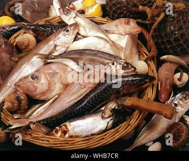 A selection of fish Stock Photo - Alamy
