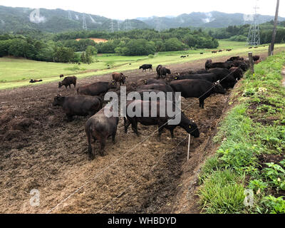 Visiting the area of Fukushima badly affected by radiation after the ...