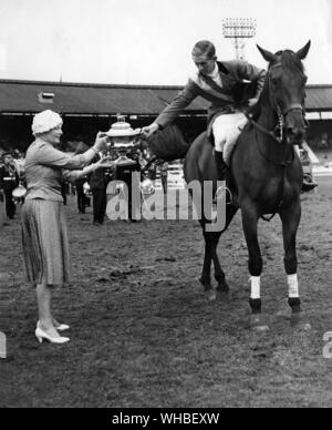 The points of the horse Stock Photo - Alamy