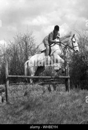 Princess Anne - Garth Hunt Pony Club Hunter Trials - Berkshire Stock ...