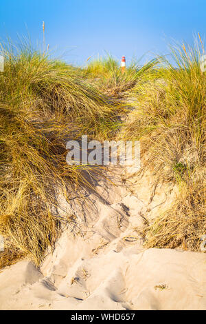 Dune landscape with a sea in the distance Stock Photo - Alamy