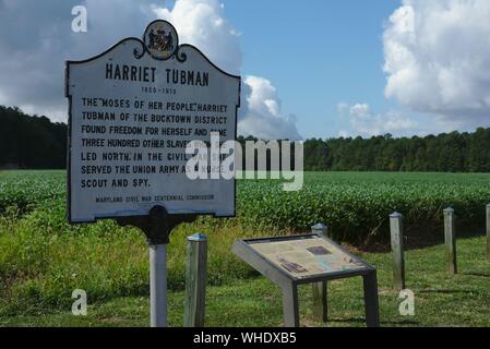 Brodess Farm. Site of Harriet Tubman's childhood home. The original ...