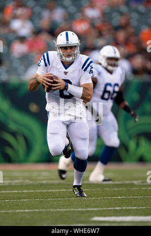 Indianapolis Colts quarterback Chad Kelly (6) during NFL football ...
