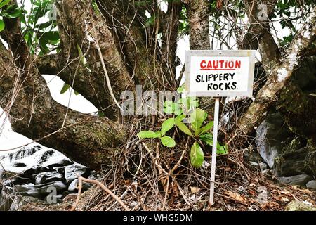 Warning sign on tree trunk alerting people to danger of branches of ...