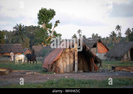 Thatched roof huts in a village in Timor Leste (East Timor Stock Photo ...
