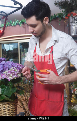 Young latin man florist cutting plants at flower shop Stock Photo - Alamy