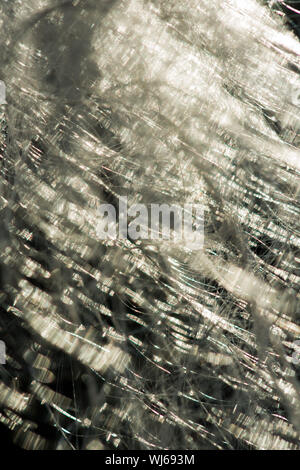 Frayed nylon rope separated out into its small minute fibres fibrils ...