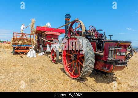 Threshing machine being powered by a steam traction engine, bygone ...