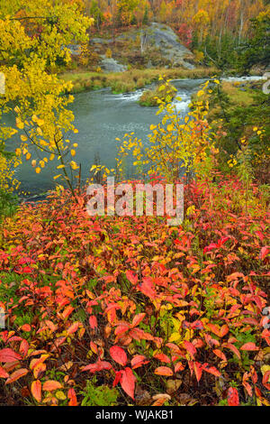 Overlooking the rapids on Junction Creek with swirling foam Greater ...