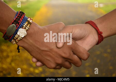 Human hands of two friends shaking hands Stock Photo: 137476460 - Alamy