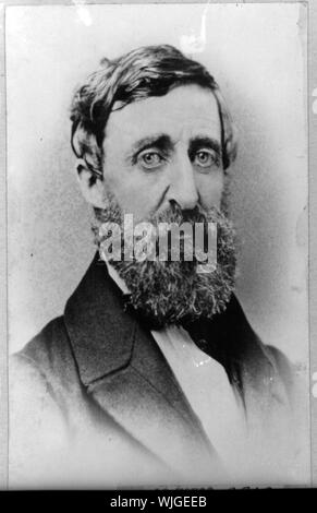 Henry David Thoreau. Portrait of the American poet and philosopher ...