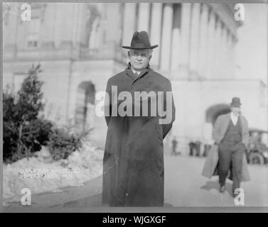 Henry Thomas Rainey, full-length portrait, standing outside Stock Photo ...
