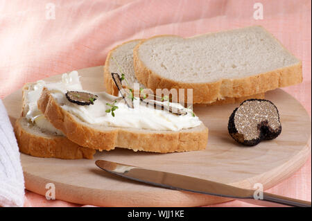 organic summer truffle with bread and spread cheese Stock Photo - Alamy