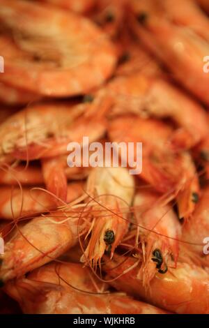 Shrimp macro texture, many orange prawns crop detail Stock Photo - Alamy