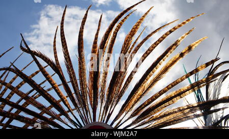 Mexica Yolotl, a Minneapolis-based traditional Aztec dance group that ...
