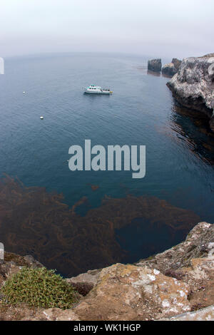 Truth Aquatics SCUBA dive boat the Conception was burned while at sea ...